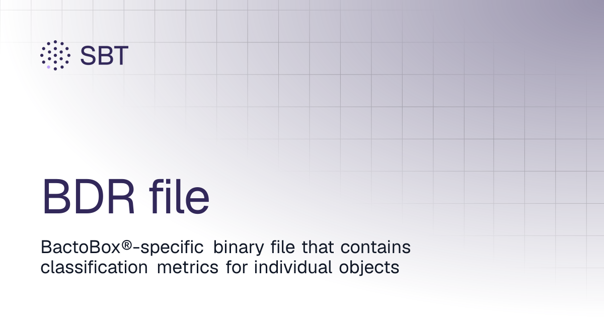 BDR file | SBT